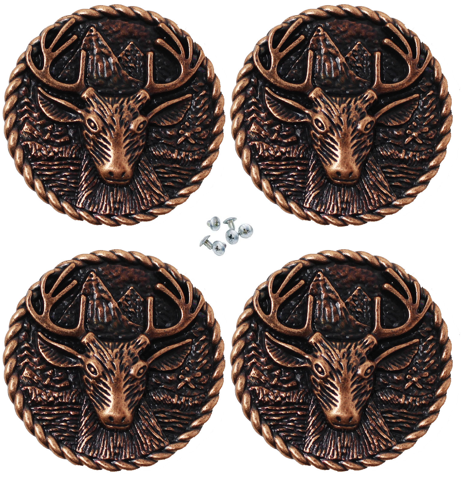 Concho Set of 4 Screw Back Conchos Western Saddle Co620 7427264659493| eBay