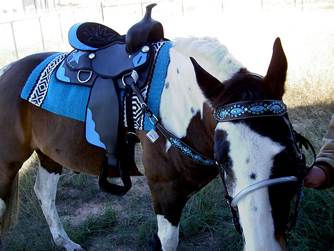 17" Western Cordura Trail Barrel Pleasure Horse Saddle Bridle Tack Blue ...